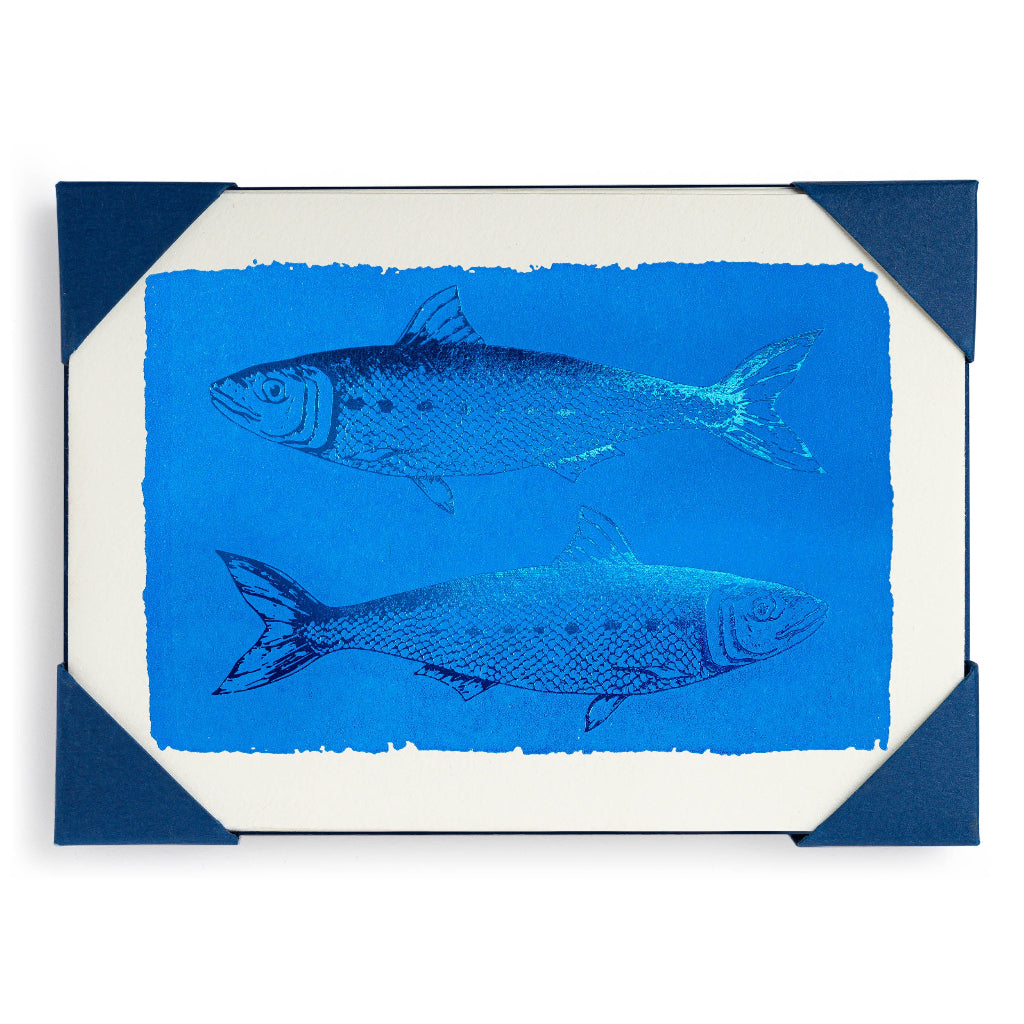 Notecard Set - Sardines